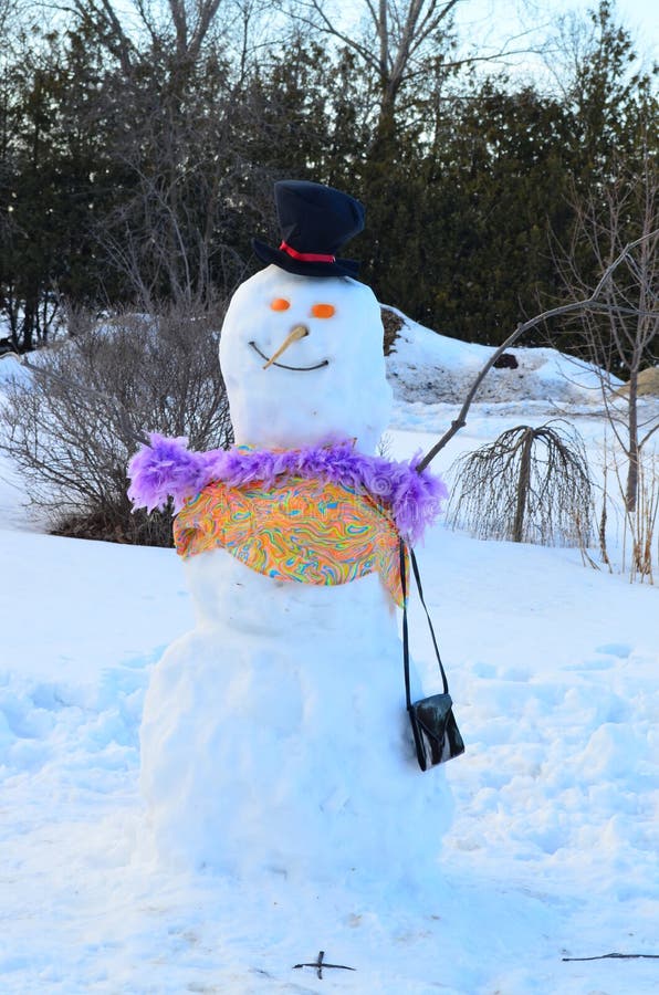 The snow woman stock image. Image of colorful, snow, clothing - 29679931