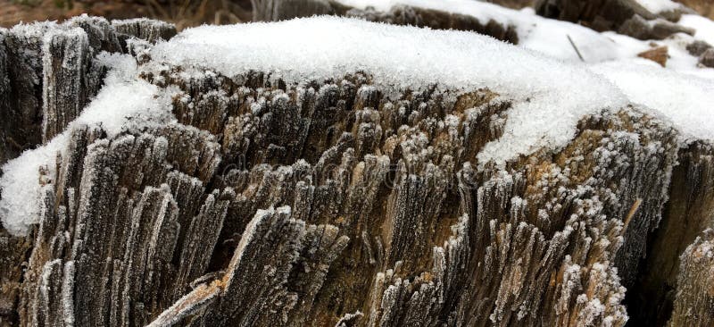 Snow On Wood Picture. Image: 84981732