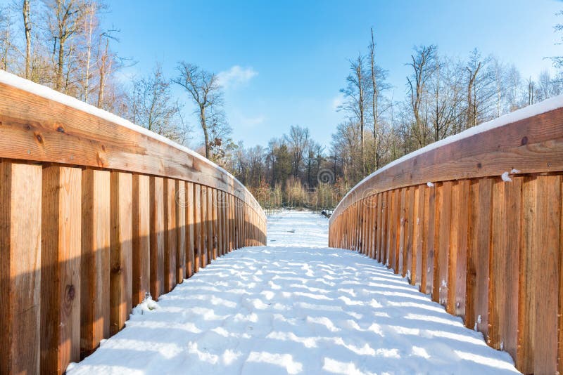 Snow on Wooden Bridge in Forest Area Stock Image - Image of forest ...