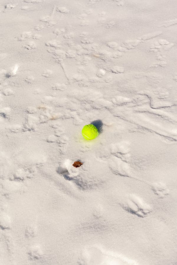 Snowball stock photo. Image of season, ideas, outdoor - 172561512