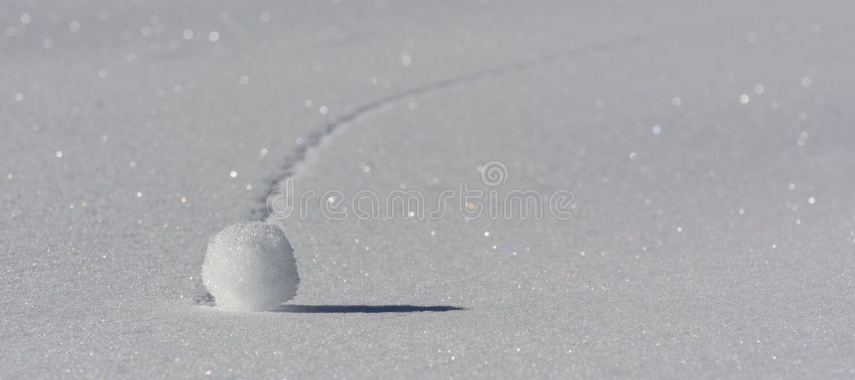 45,574 Snowball Stock Photos - Free & Royalty-Free Stock Photos from ...