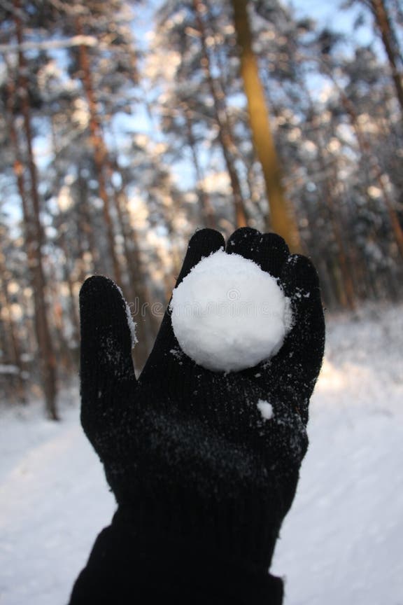Snowball throwing stock photo. Image of hitting, games - 13202258