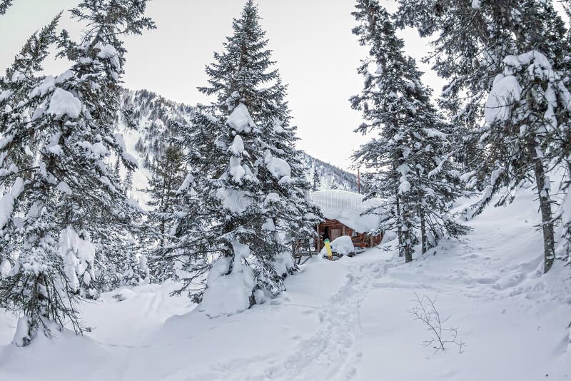 Snowboard at House Chalets in Winter Forest with Snow in Mountains ...