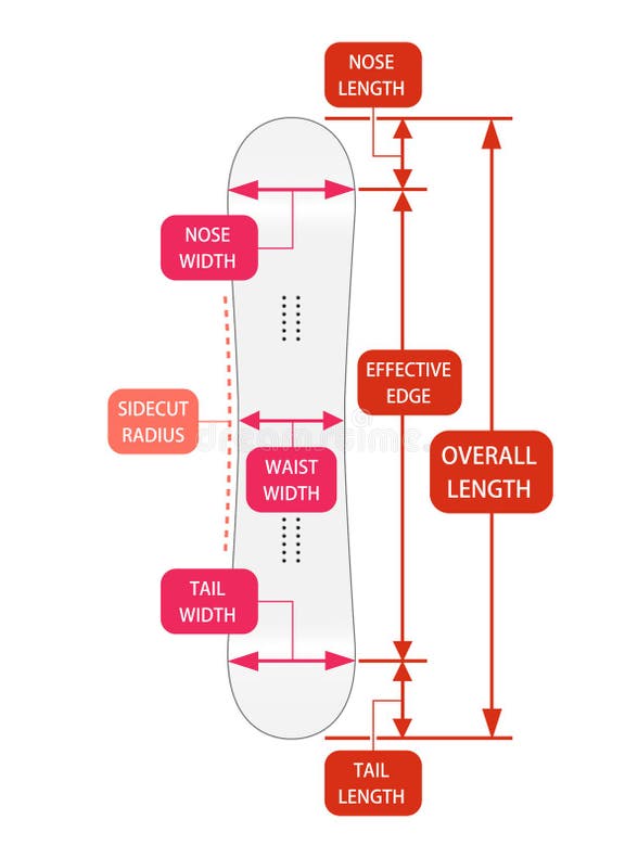 Snowboard Size Chart Vector Illustration Stock Vector - Illustration of ...