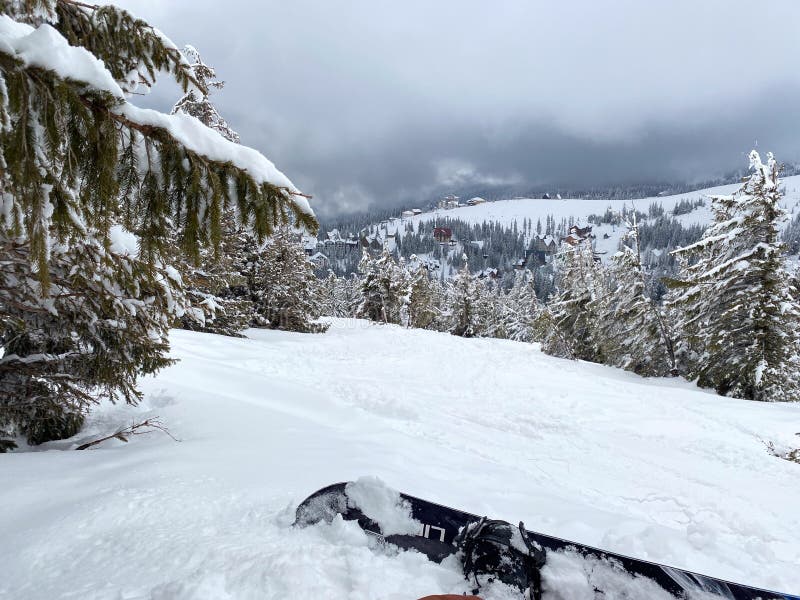 Snowboard on Snowy Mountain Slope Stock Photo - Image of season, nature ...