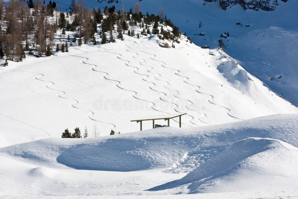 Snowboard Tracks in Alps Forest Landscape Stock Photo - Image of ...