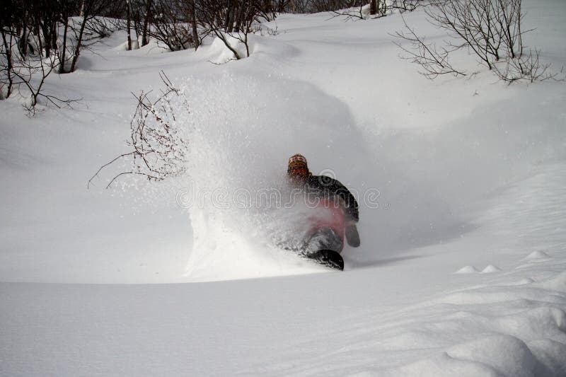 Snowboarder in Action Powder Spray Stock Image - Image of mountain ...