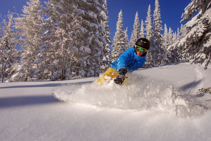 Snowboarder Doing a Toe Side Carve Stock Photo - Image of dangerous ...