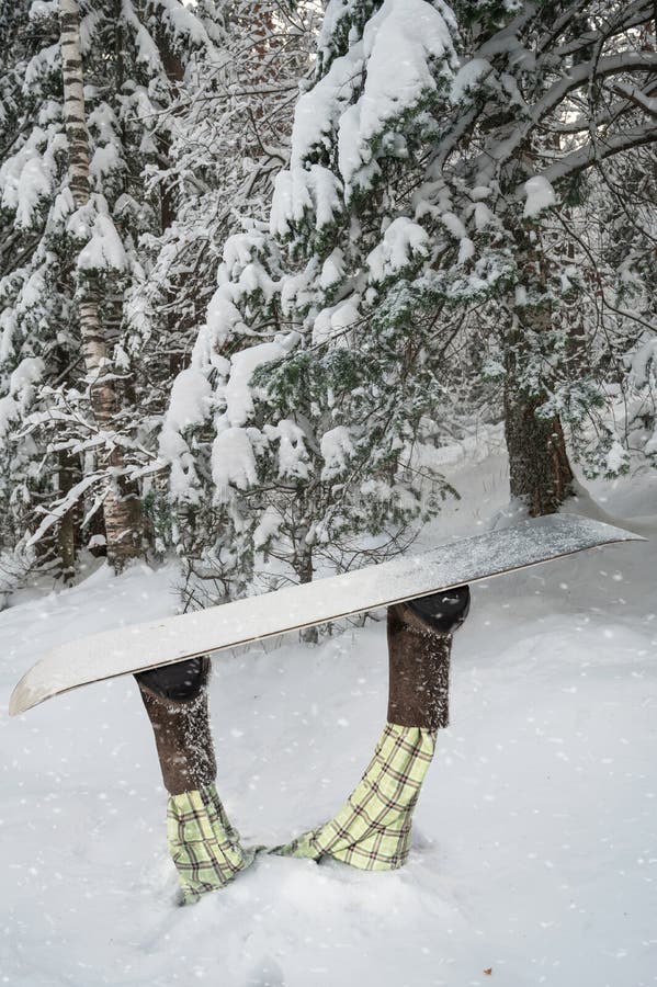 Snowboarder falling down stock photo. Image of tree, snow - 10385022