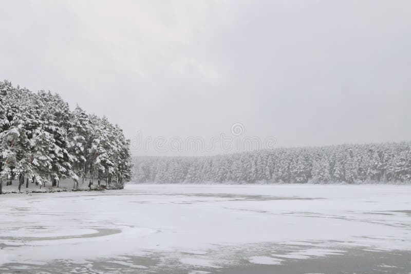 Snowbound Forest Beyond the River Stock Photo - Image of glacial, gelid ...
