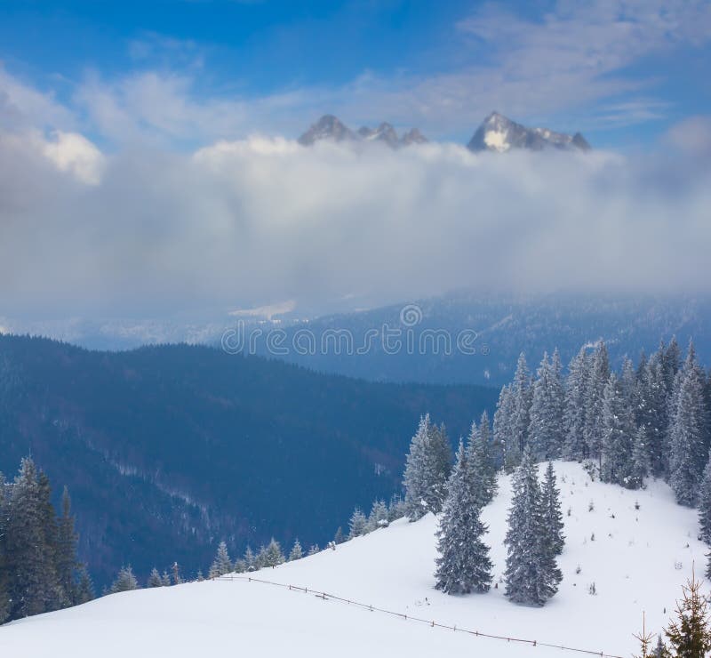 Snowbound Mountain in Dense Mist and Clouds Stock Image - Image of wood ...