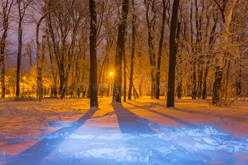 Snowbound Park at the Night Scene Stock Photo - Image of nature, silent ...