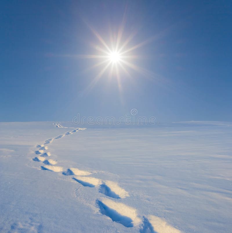 Snowbound Plain with Human Track at the Sunny Day Stock Image - Image ...