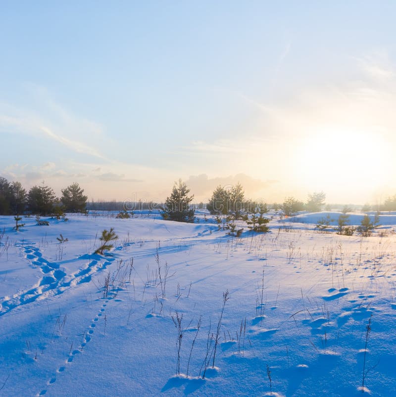 Snowbound Winter Prairie at the Sunset Stock Photo - Image of season ...
