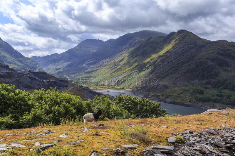 Snowdon view stock image. Image of great, hills, peaks - 83620893