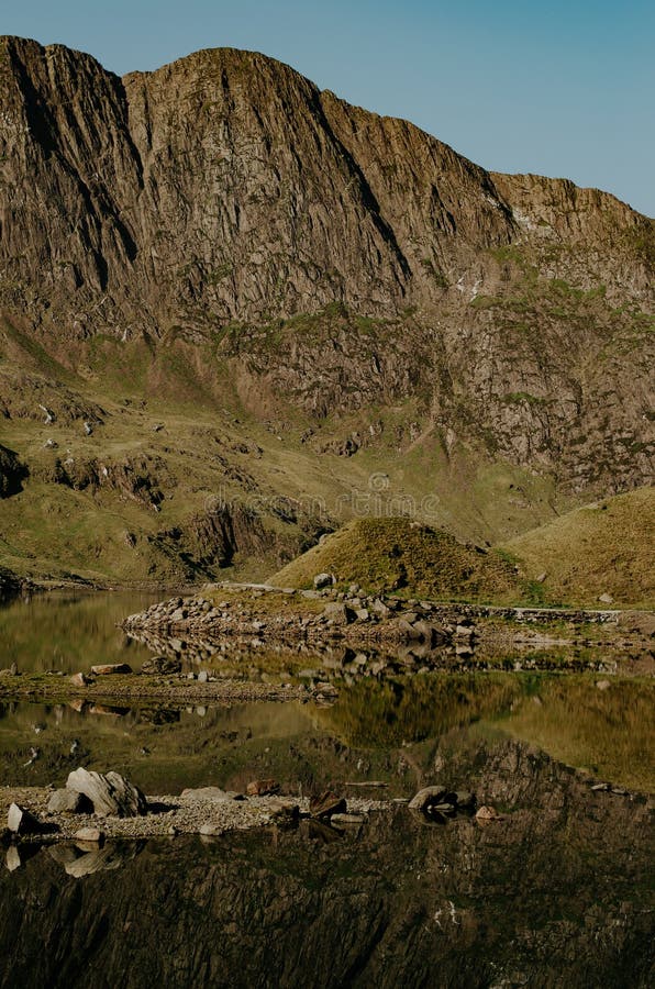 Snowdon, Wales, UK stock photo. Image of flower, wildlife - 279502240