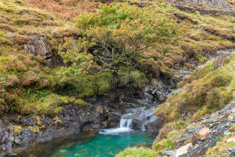 Snowdonia Landscape. River Flows Down the Mountain. Stock Image - Image ...