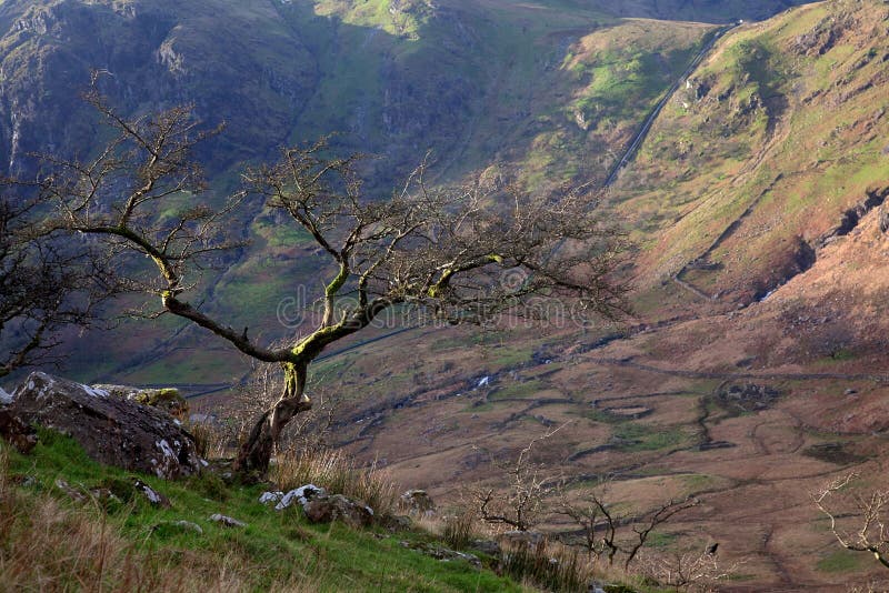 Snowdonia Views stock image. Image of highland, wilderness - 24478251