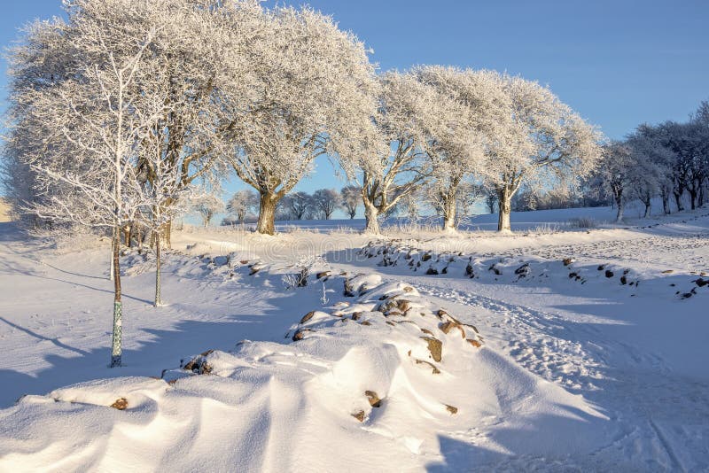 Snowdrifts on a Path a Cold Sunny Winter Day Stock Photo - Image of ...