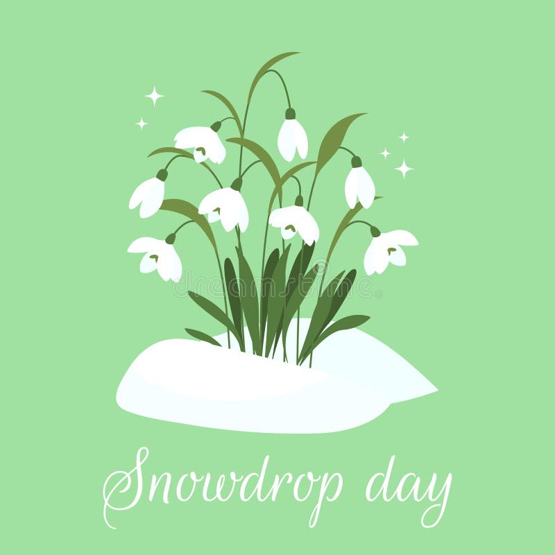 Spring Composition of Snowdrops and Leaves, Hand-drawn, Watercolor ...