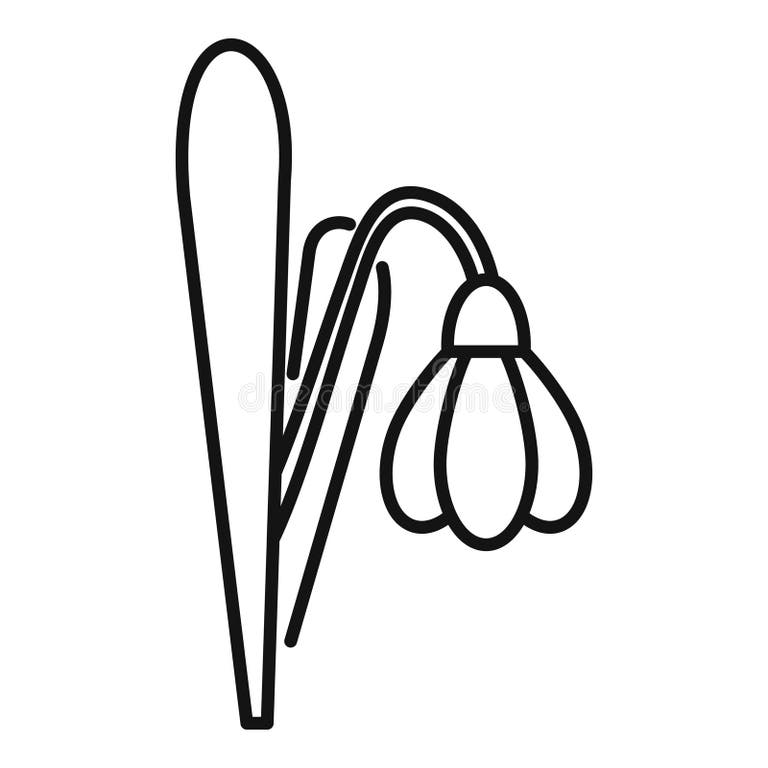Snowdrop Flower Growing with Stem and Leaf Stock Vector - Illustration ...