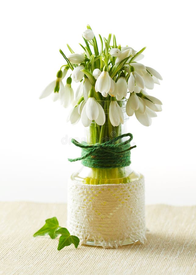 Snowdrop flowers stock photo. Image of nature, flower - 29244096
