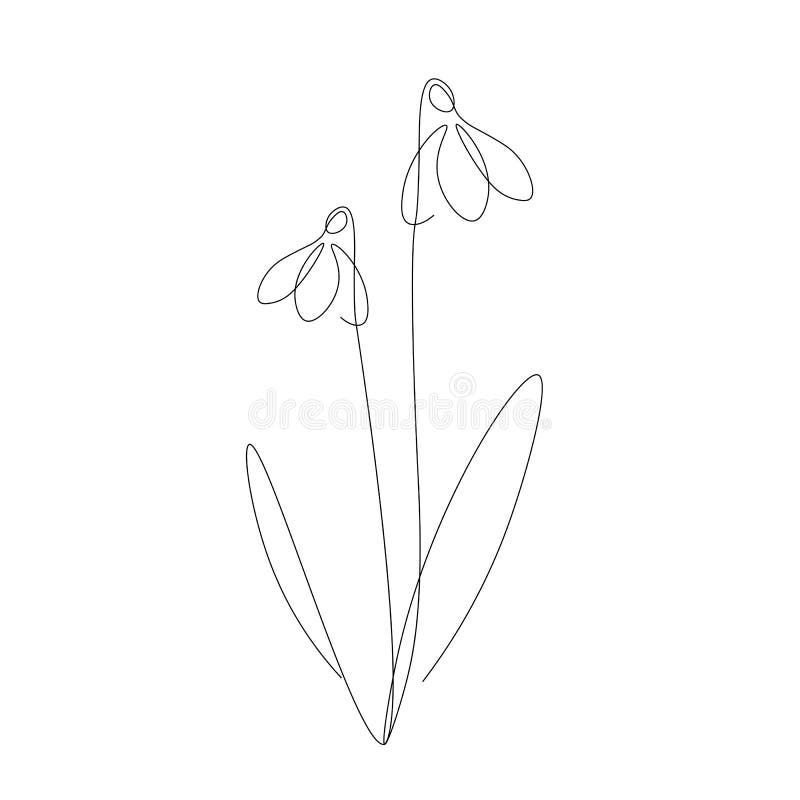 Snowdrop Flowers Icon, Vector Stock Vector - Illustration of petal ...
