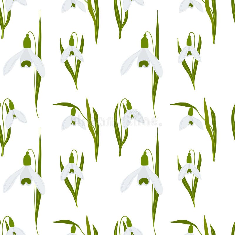 Snowdrop Flowers Spring Seamless Pattern Stock Vector - Illustration of ...