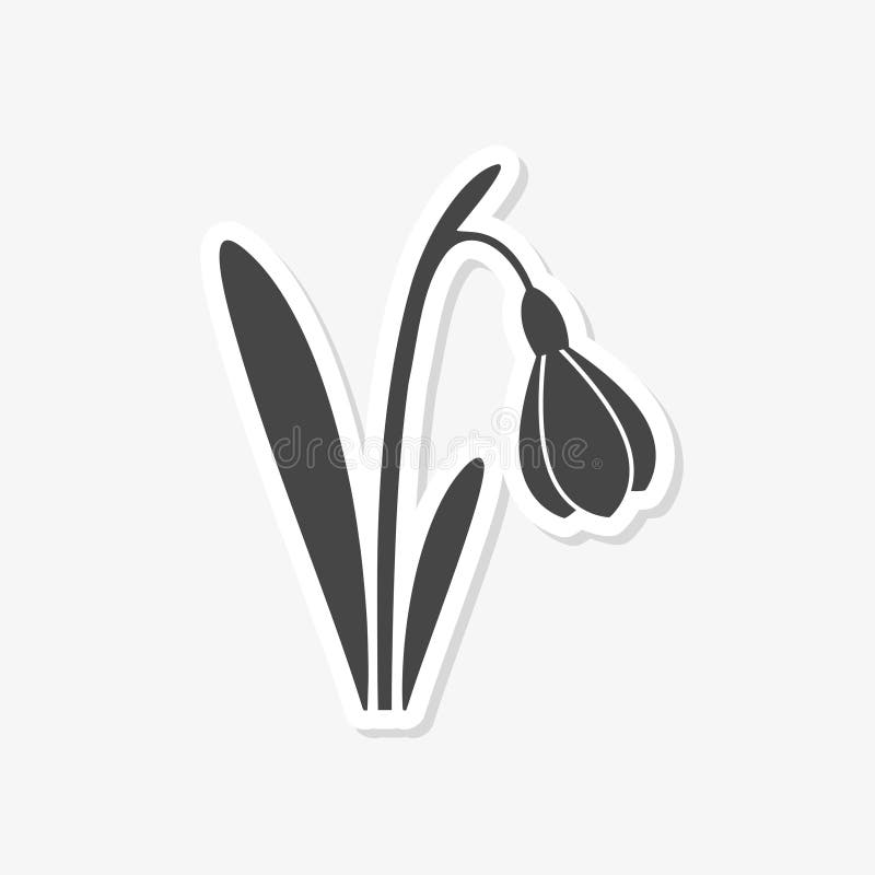 Snowdrop Icon - Illustration Stock Vector - Illustration of area ...
