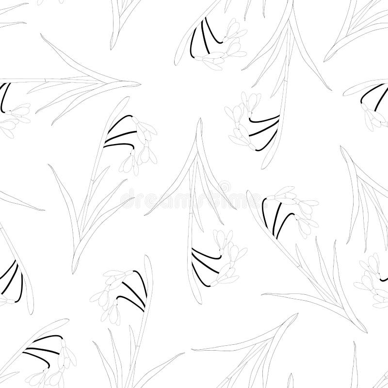 Snowdrop Outline Seamless on White Background. Vector Illustration ...