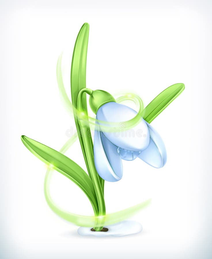 Snowdrop vector icon stock vector. Illustration of flower - 57040720