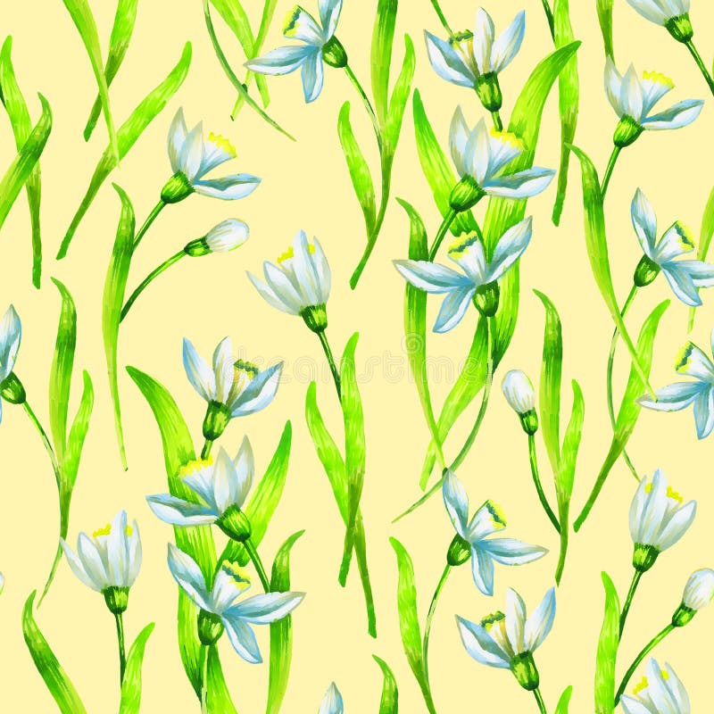 Snowdrop Watercolor Flowers Seamless Pattern Stock Illustration ...