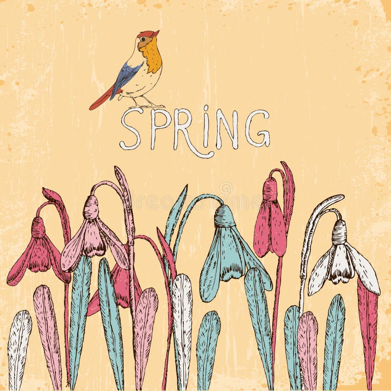 Snowdrops Apenas Chovido Sobre Ilustração do Vetor - Ilustração de ...