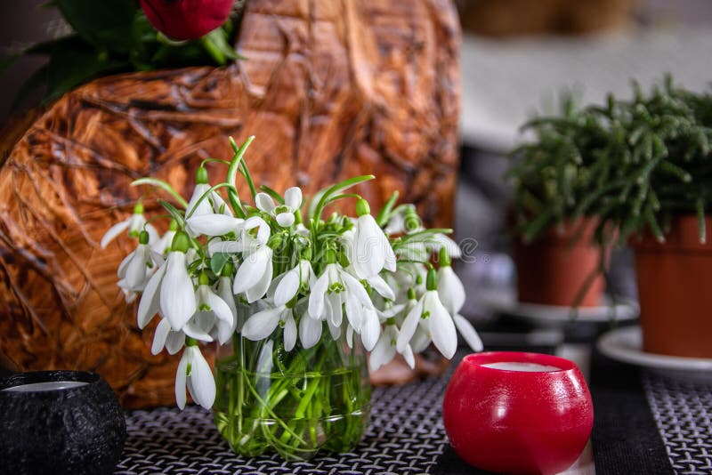 Snowdrops bouquet on table stock image. Image of floral - 141537803