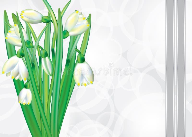 Snowdrops card stock vector. Illustration of card, winter - 22896758