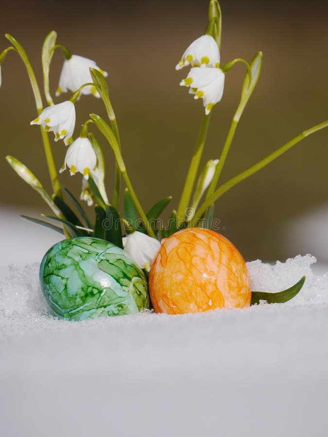 Snowdrops Growing Out Snow with Easter Eggs Stock Photo - Image of eggs ...