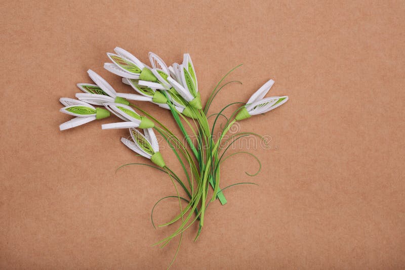Snowdrops Make in Quilling Art Isolated on Brown Background Stock Image ...