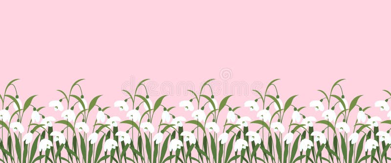 Snowdrops Seamless Border. First Spring Flowers in Flat Style Stock ...