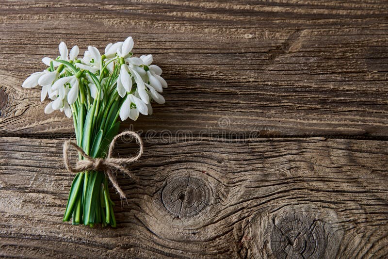 Snowdrops, 1st of March Tradition Isolated on Wooden Background Stock ...