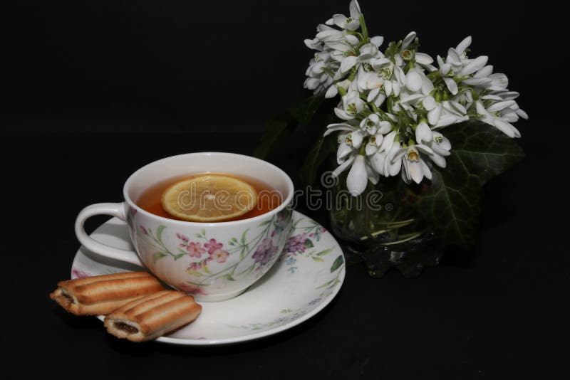 Snowdrops in vase stock image. Image of leaf, group, close - 37636437