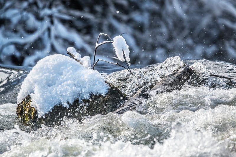 Snowed rock in river isar stock photo. Image of waldram - 140787098