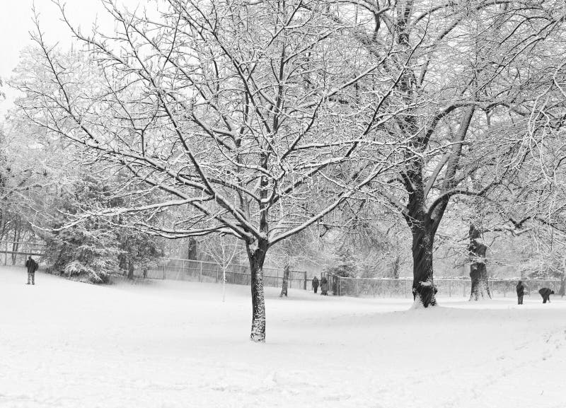 Snowfall stock image. Image of winter, snowfall, scenic - 12614491