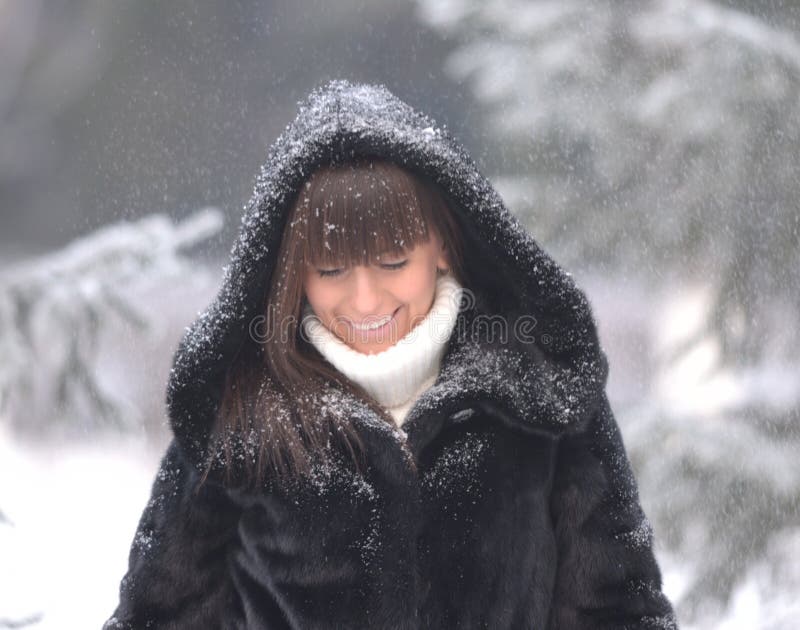 Snowfall stock image. Image of outside, nature, life - 22853487