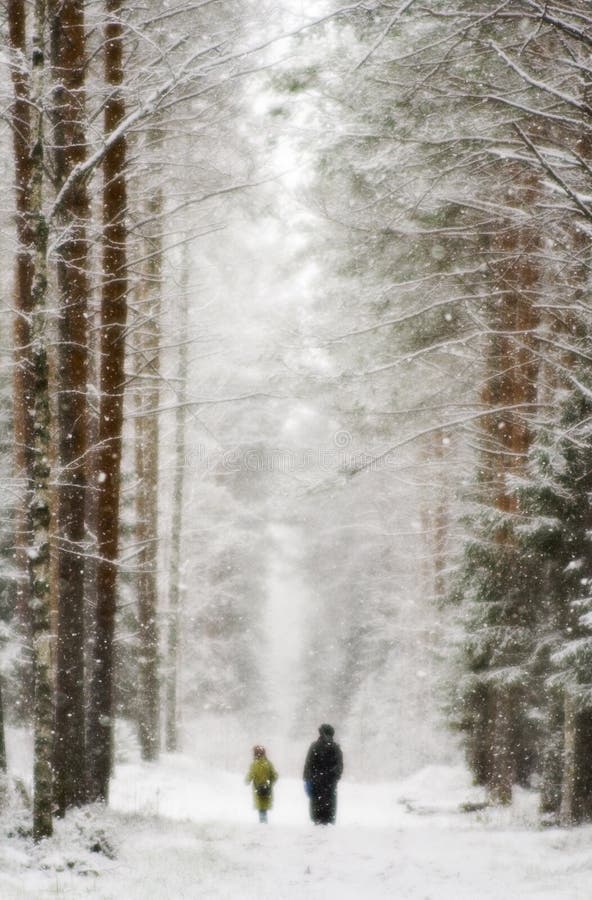 Snowfall stock image. Image of snow, frost, cold, couple - 6098827