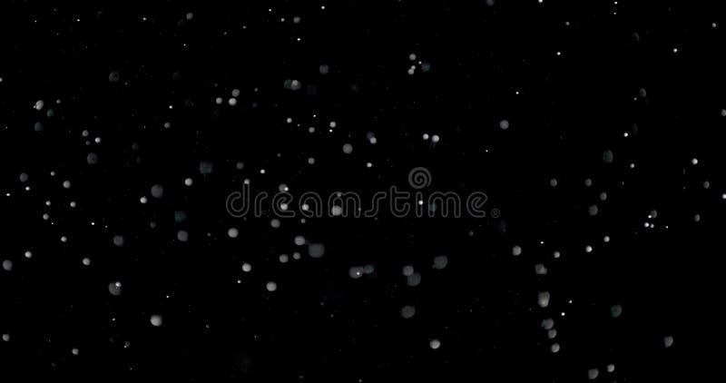 Snowfall on Black Background Stock Image - Image of design, christmas ...