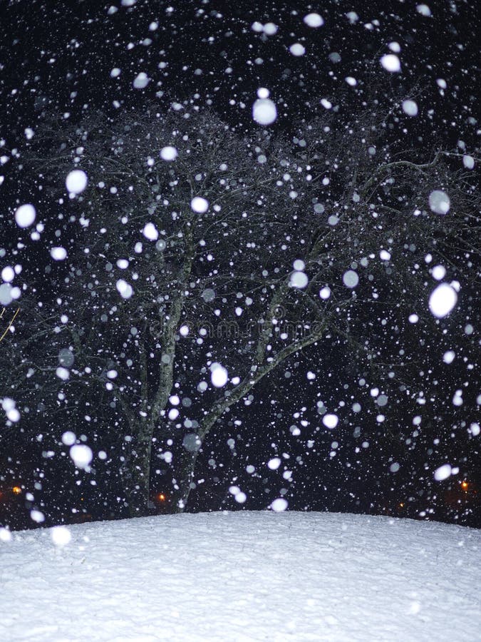 Snowfall in the City at Night Stock Photo - Image of frost, festive ...