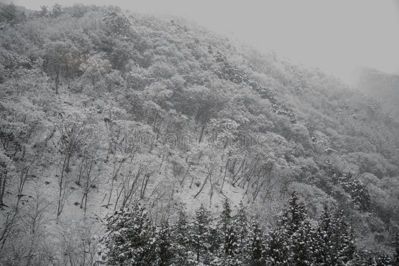 Snow Falls in Japanese Mountains Under Cloudy Sky Stock Image - Image ...