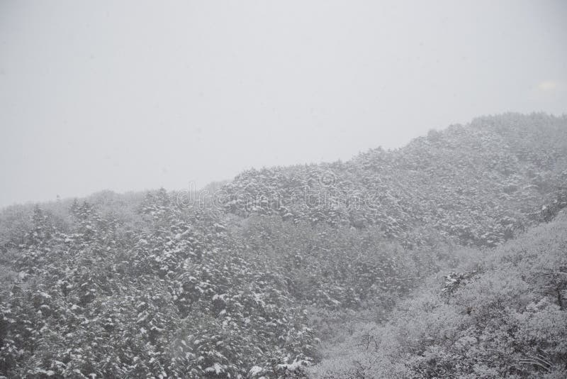 Snow Falls in Japanese Mountains Under Cloudy Sky Stock Photo - Image ...