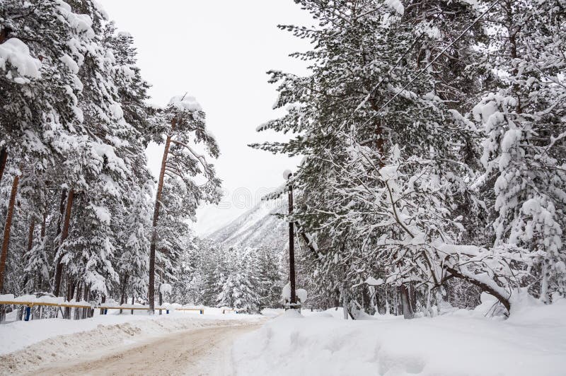 Snowfall on the Mountain Road Stock Photo - Image of snowdrift ...