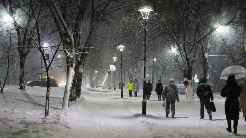 Snowfall in the night city stock video. Video of illuminated - 263744069